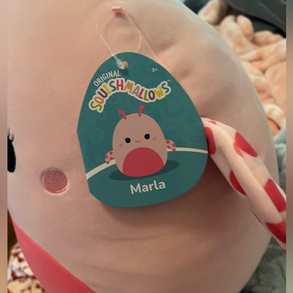 Squishmallows | Toys | Nwt 4 Marla The Ladybug Squishmallow | Poshmark